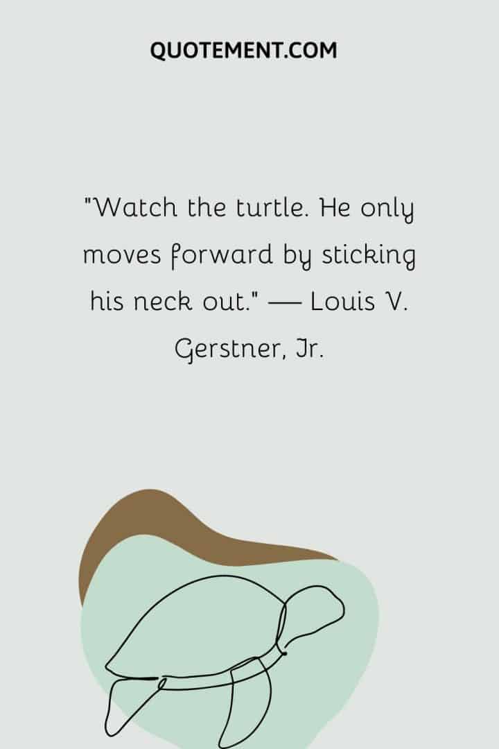 110 Turtle Quotes For Your Daily Dose Of Inspiration