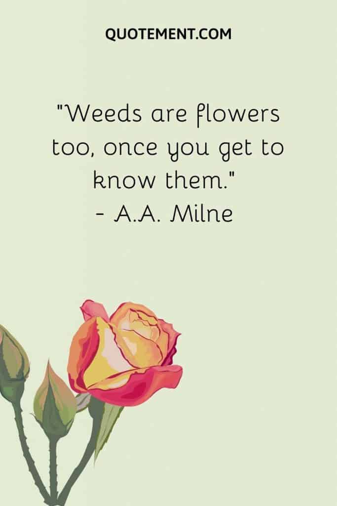 130 Beautiful Short Flower Quotes To Add Colors To Your Day