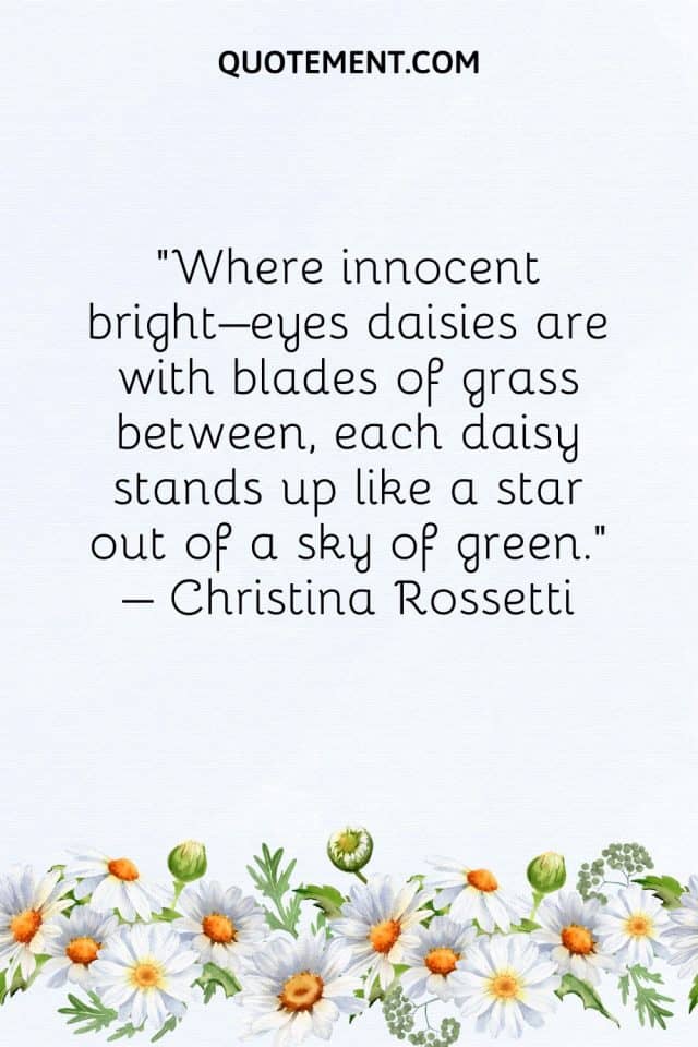 130 Lovely Daisy Quotes To Cherish Its Power And Beauty