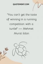 110 Turtle Quotes For Your Daily Dose Of Inspiration