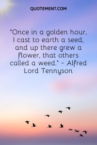 120 Golden Hour Quotes About The Magical Time Of The Day