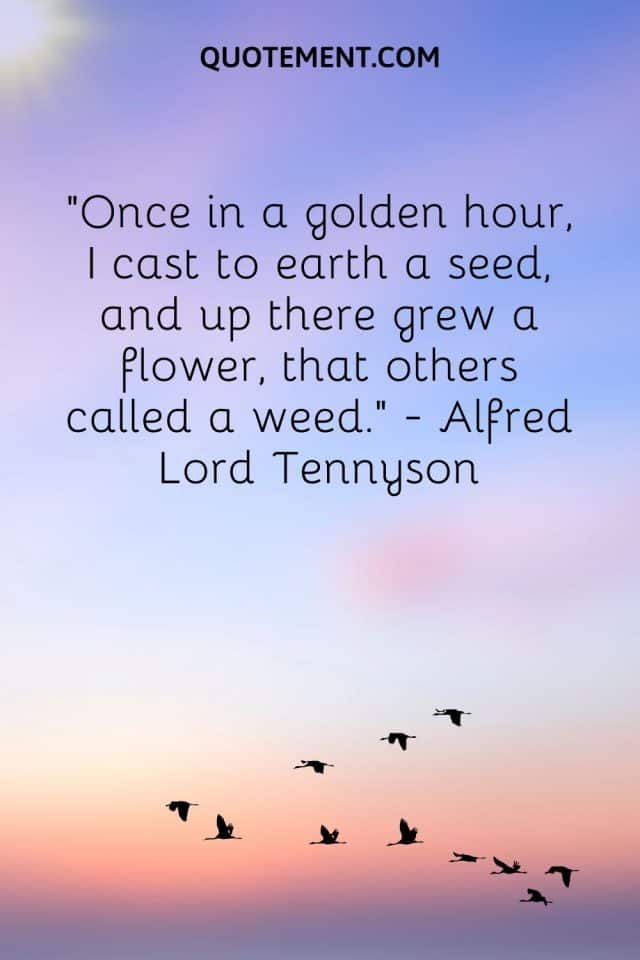 120 Golden Hour Quotes About The Magical Time Of The Day