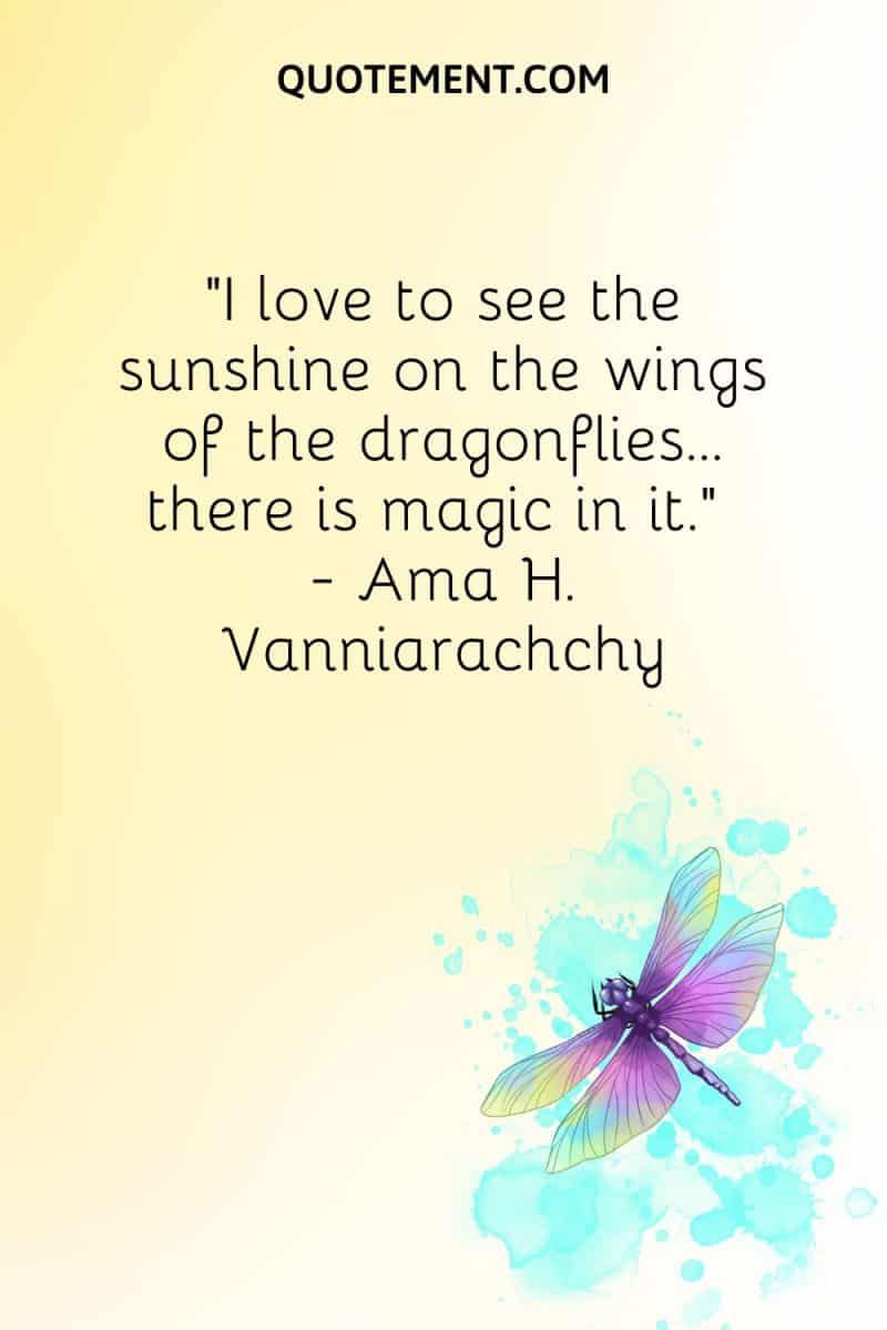 70 Enchanting Dragonfly Quotes For Wisdom And Inspiration