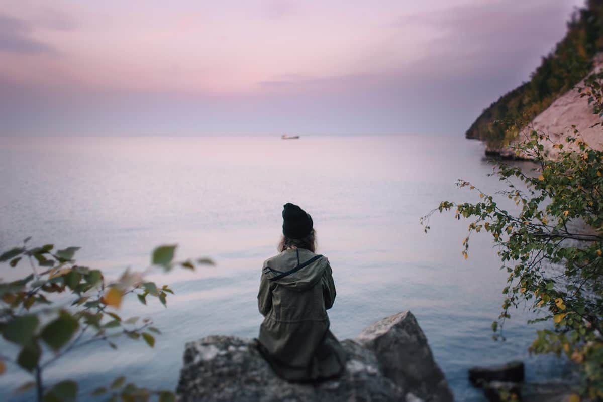 120 Best Lone Wolf Quotes To Embrace Your Authenticity