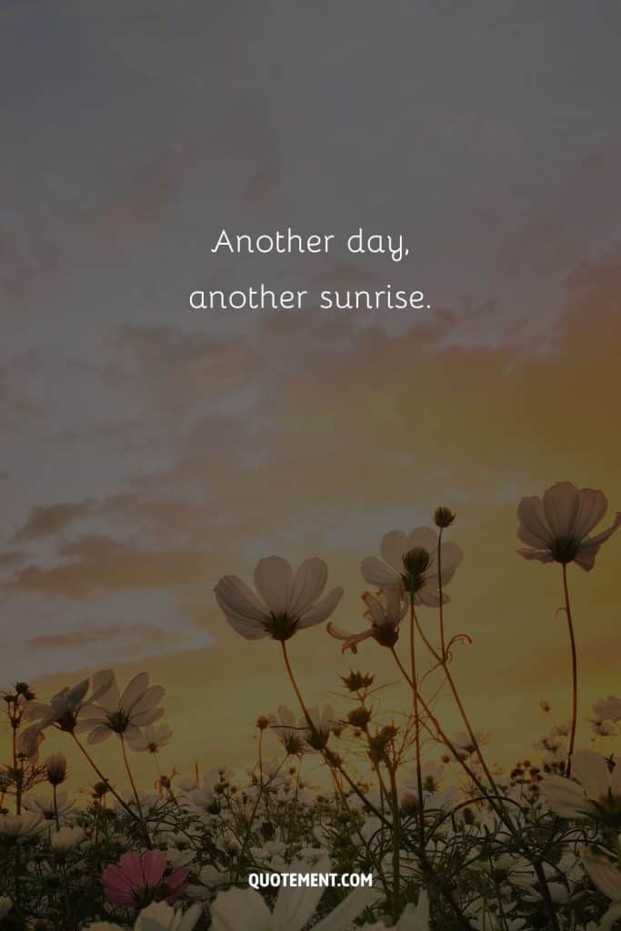 List Of 290 Short Instagram Captions Perfect For Any Occasion