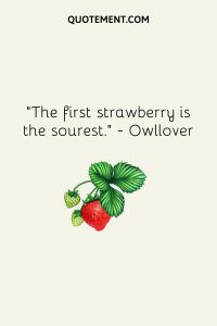 Top 200 Sweetest Strawberry Quotes To Brighten Your Day