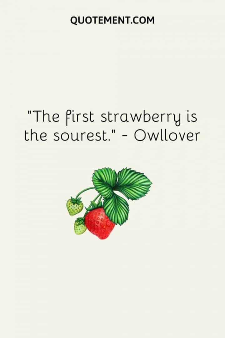Top 200 Sweetest Strawberry Quotes To Brighten Your Day