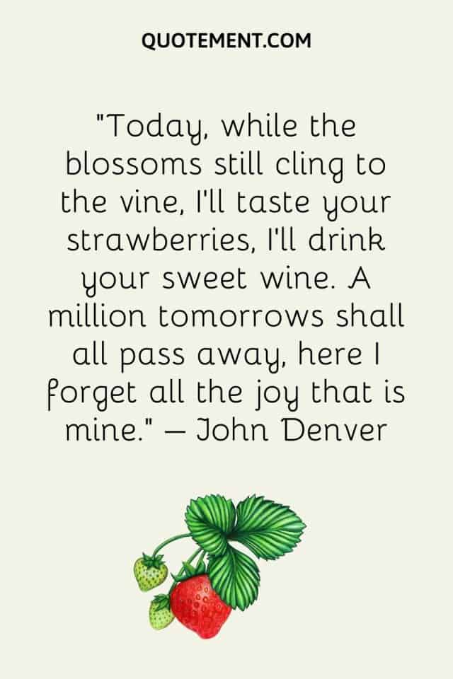 Top 200 Sweetest Strawberry Quotes To Brighten Your Day