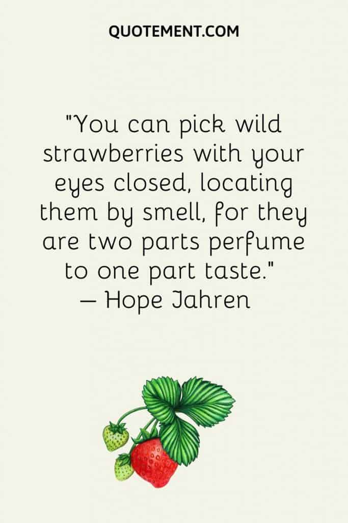 Top 200 Sweetest Strawberry Quotes To Brighten Your Day