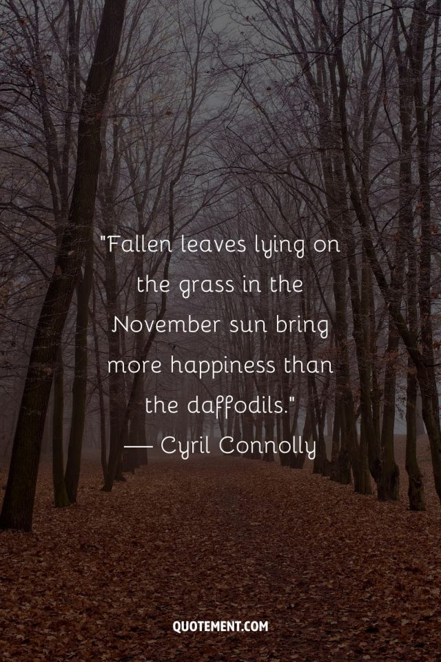 130 November Quotes On The Beauty Of The Eleventh Month