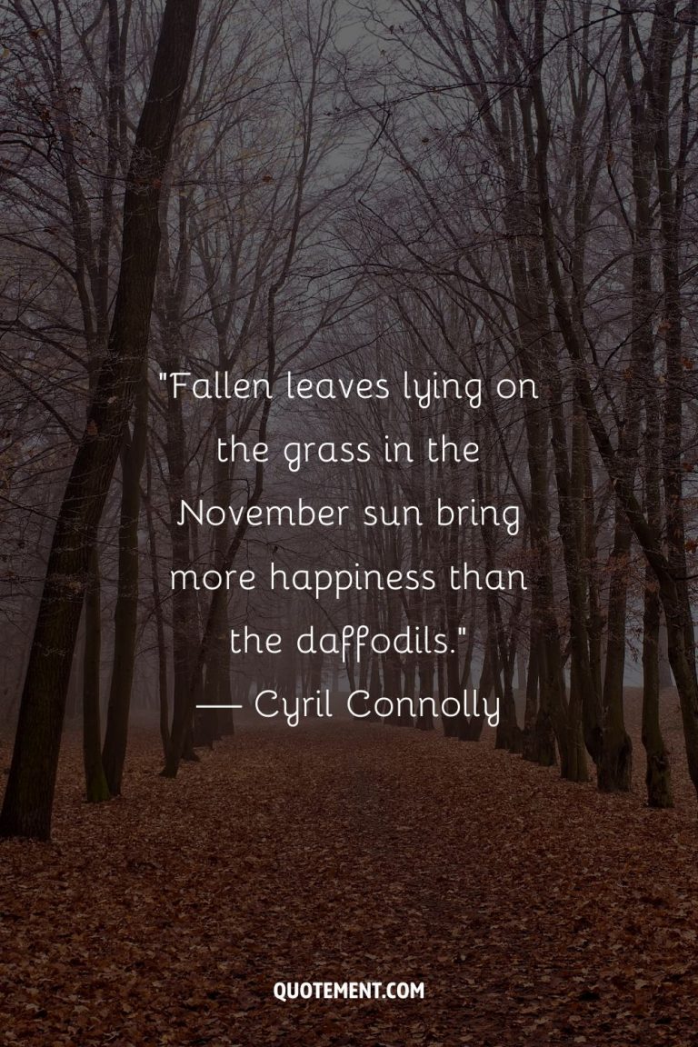 130 November Quotes On The Beauty Of The Eleventh Month
