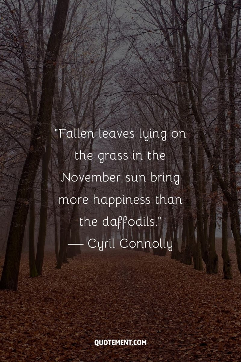 130 November Quotes On The Beauty Of The Eleventh Month