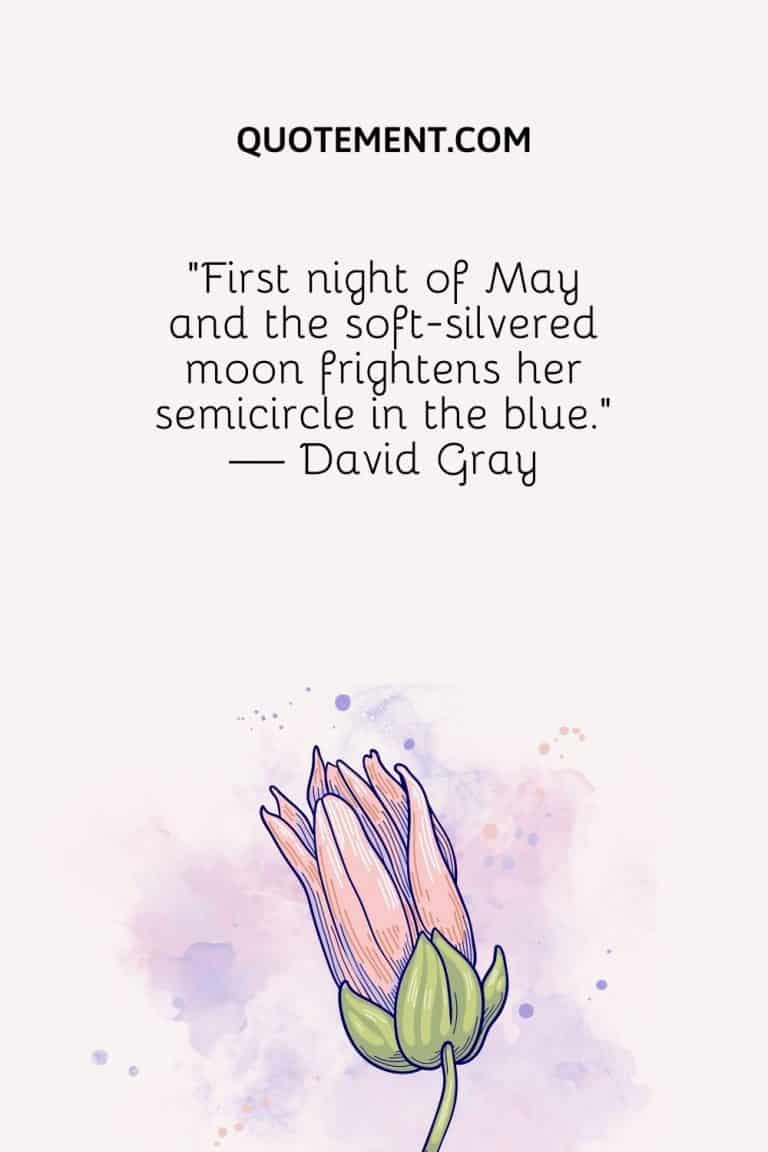 70 Cheerful May Quotes To Inspire Your Bloom And Growth