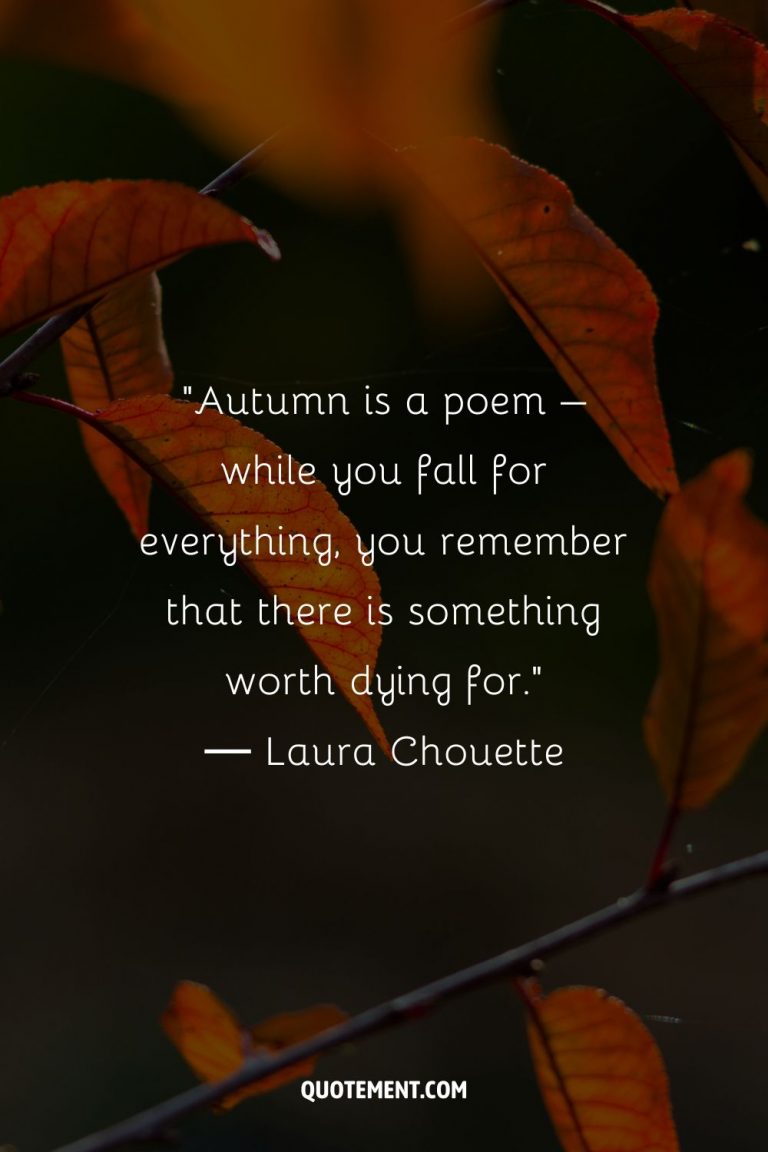 130 November Quotes On The Beauty Of The Eleventh Month