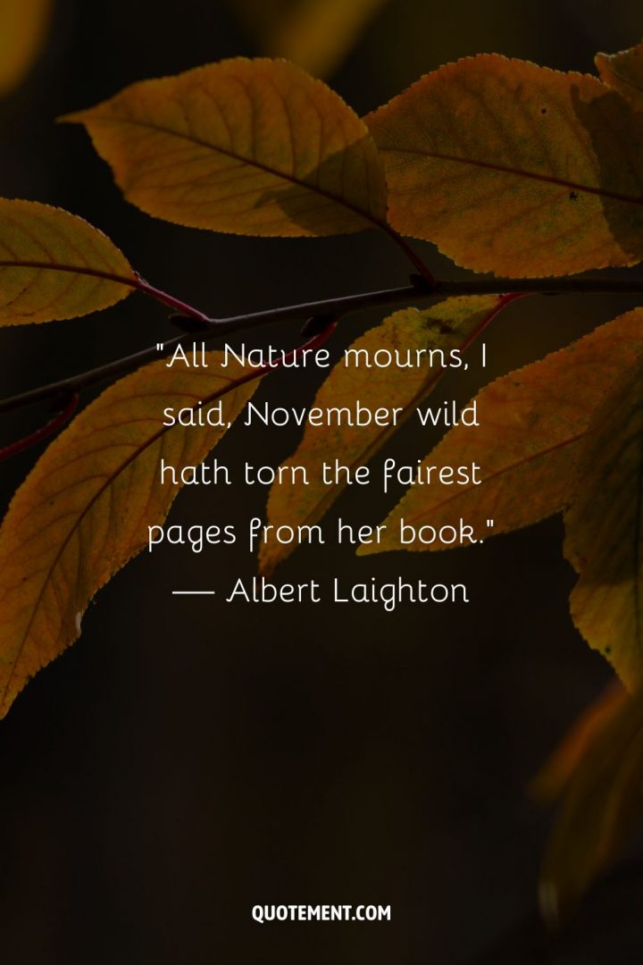 130 November Quotes On The Beauty Of The Eleventh Month