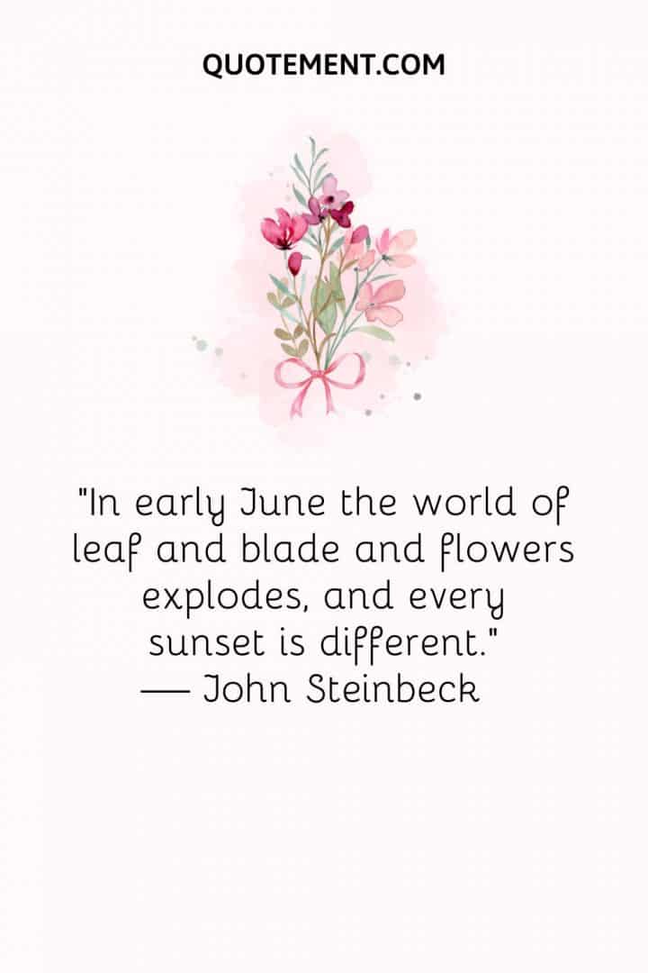 80 Inspirational June Quotes To Embrace Summer Vibes