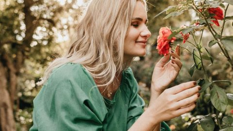 100 Amazing July Quotes That Evoke The Beauty Of Summer