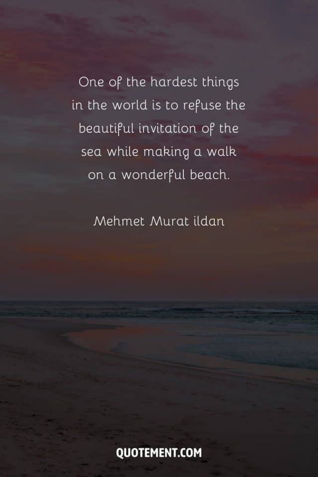 220 Amazing Beach Quotes For A Dash Of Summertime Magic