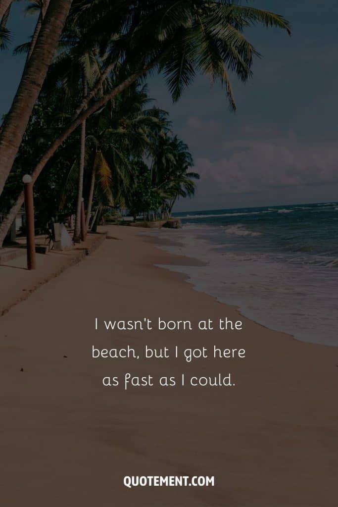 220 Amazing Beach Quotes For A Dash Of Summertime Magic
