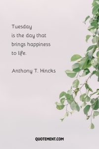 150 Tuesday Motivation Quotes To Make You Love This Day