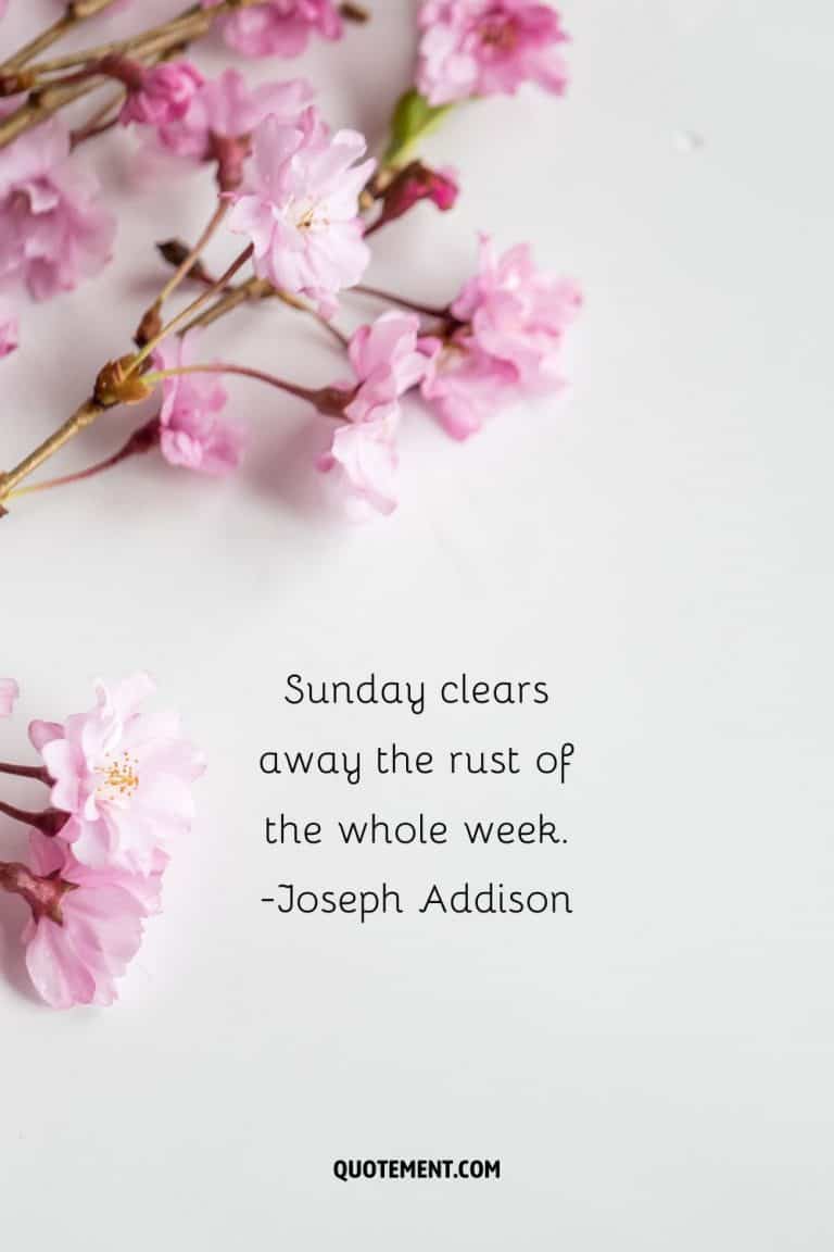 90 Sunday Motivation Quotes For A Relaxed Weekend