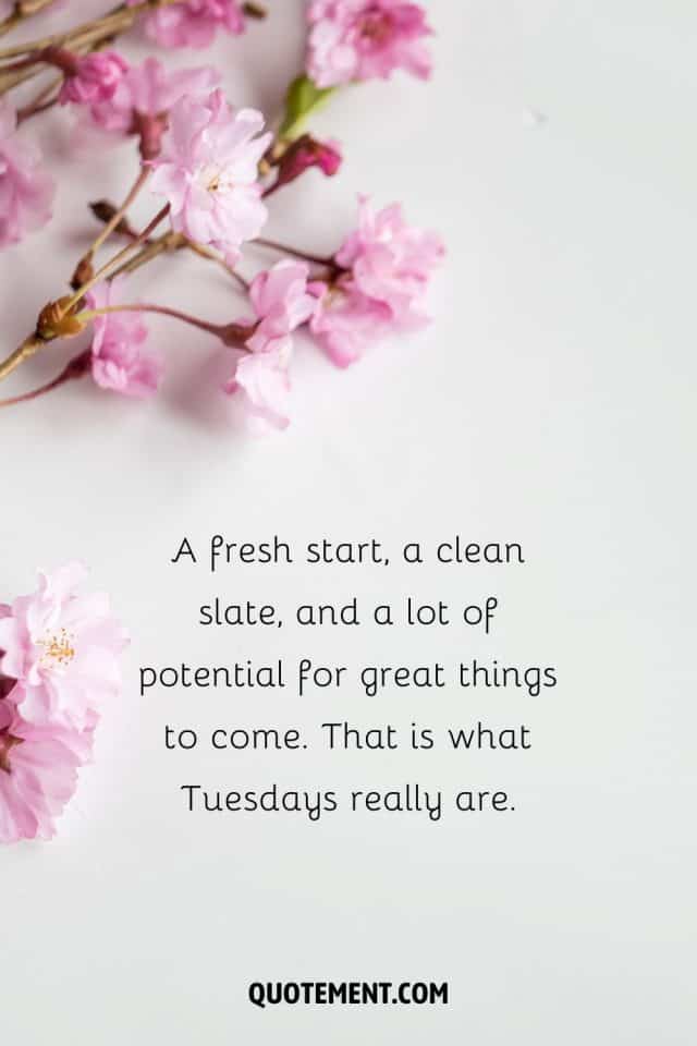 150 Tuesday Motivation Quotes To Make You Love This Day