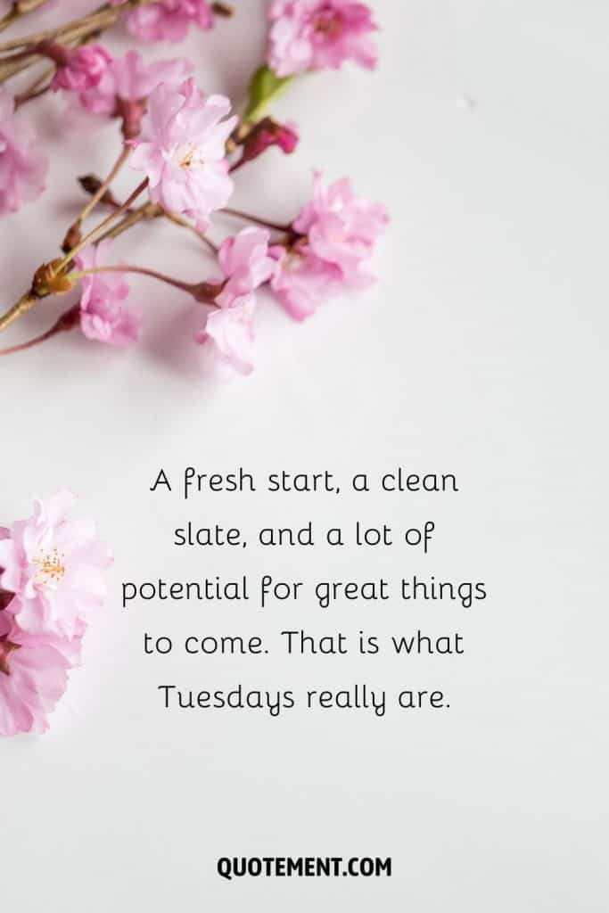 150 Tuesday Motivation Quotes To Make You Love This Day
