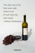 60 Brilliant Wine Quotes That'll Suit Your Taste Buds