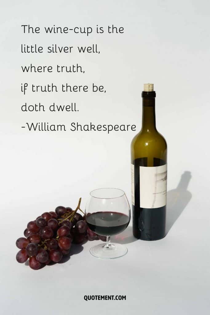 60 Brilliant Wine Quotes That'll Suit Your Taste Buds