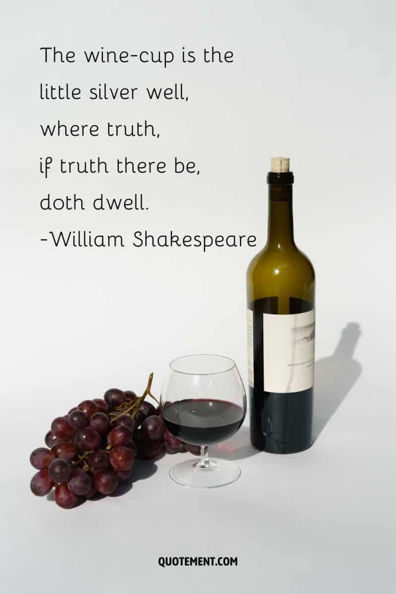 60 Brilliant Wine Quotes That'll Suit Your Taste Buds