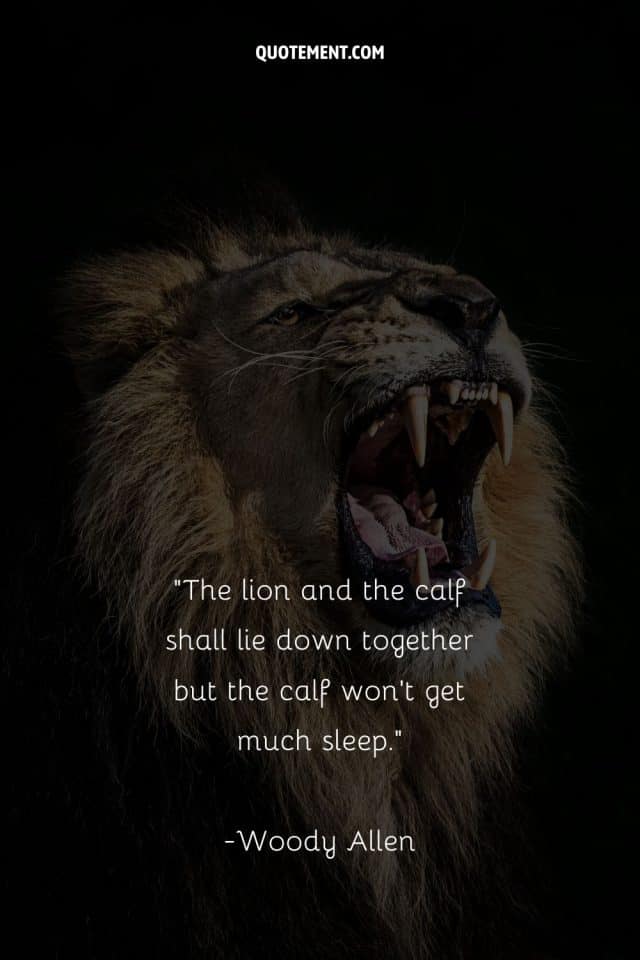 110 Powerful Lion Quotes To Unleash The Lion Within You