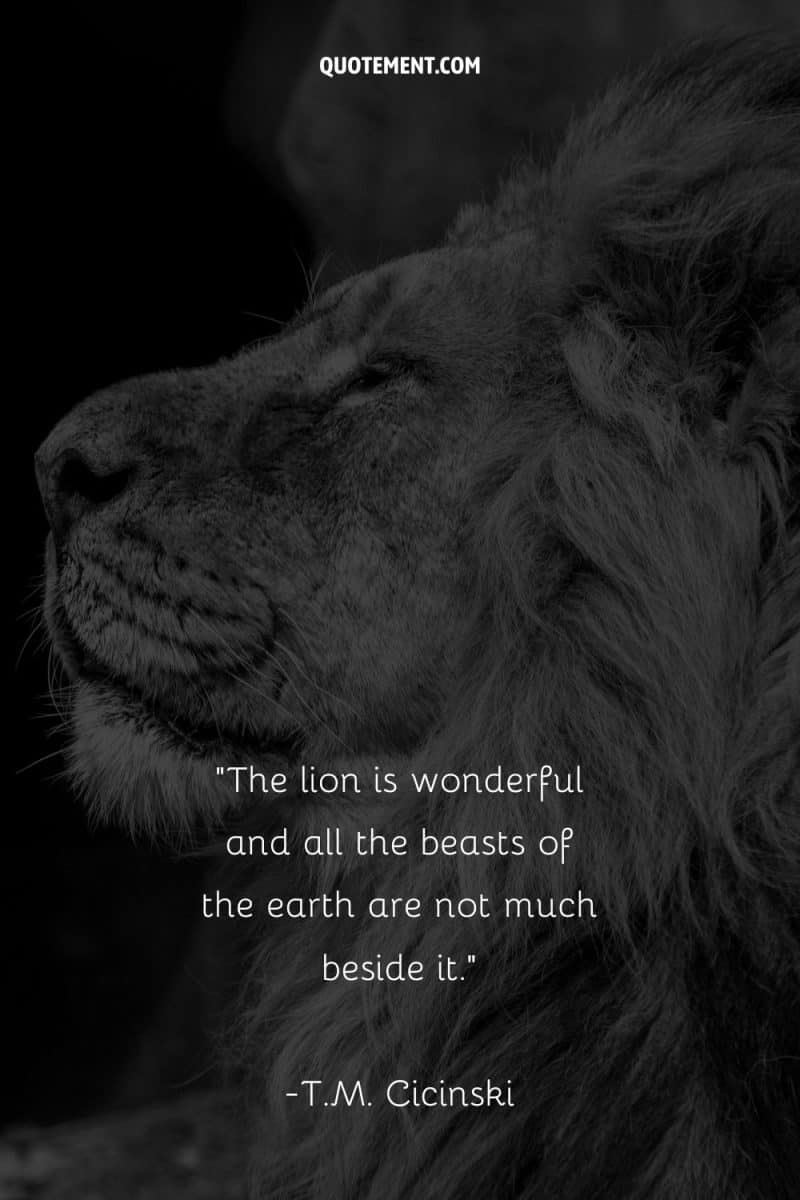 110 Powerful Lion Quotes To Unleash The Lion Within You