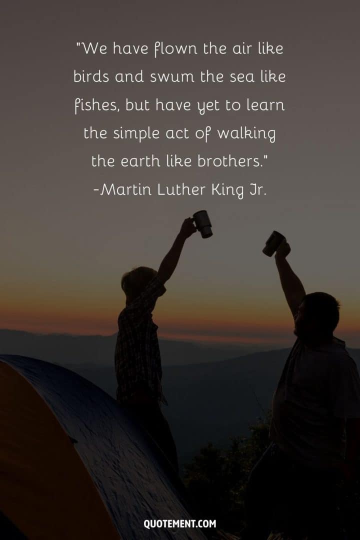 160 Best Brotherhood Quotes To Forge The Strongest Bonds