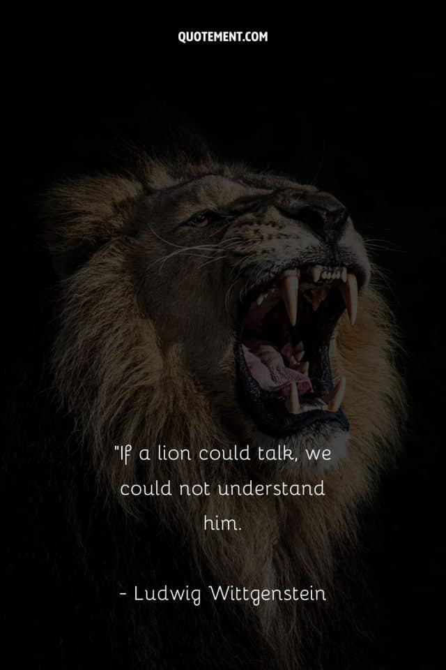 110 Powerful Lion Quotes To Unleash The Lion Within You
