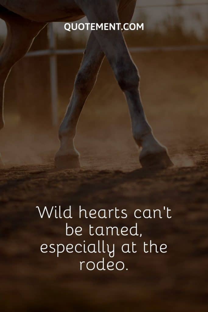 220 Rodeo Captions To Complement Your Western Adventures