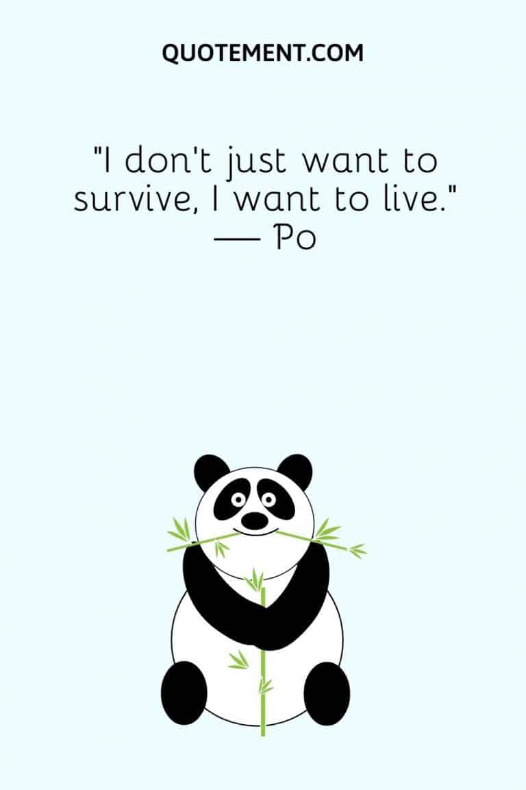 70 Memorable Kung Fu Panda Quotes That'll Make Your Day