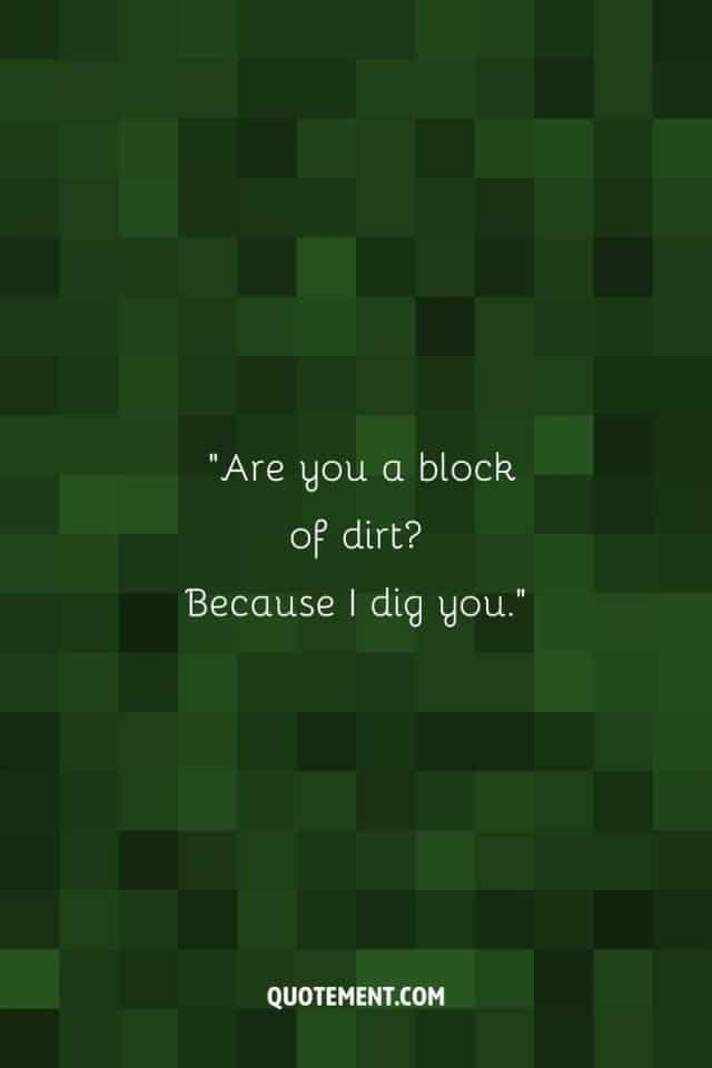 Mine Your Way to Love with 90 Minecraft Pick Up Lines