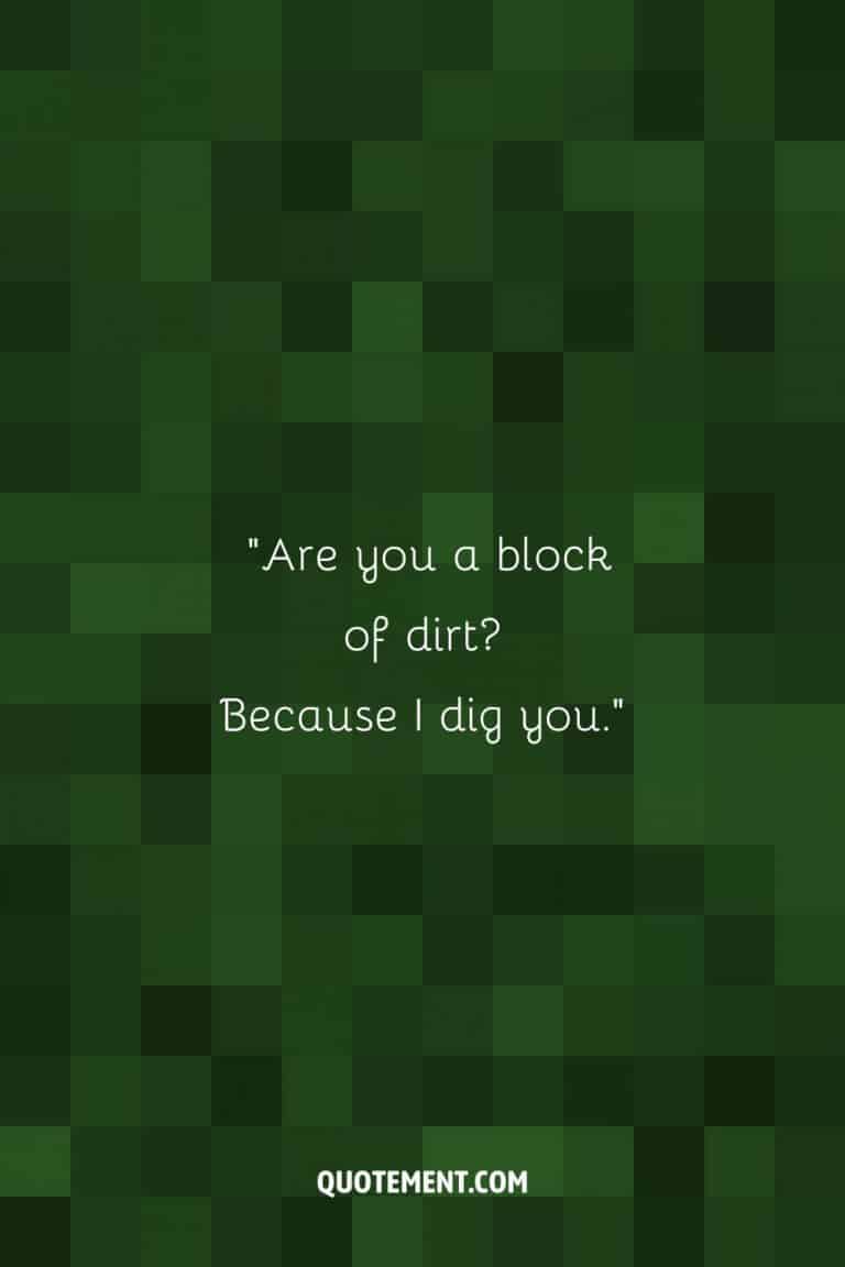 Mine Your Way to Love with 90 Minecraft Pick Up Lines