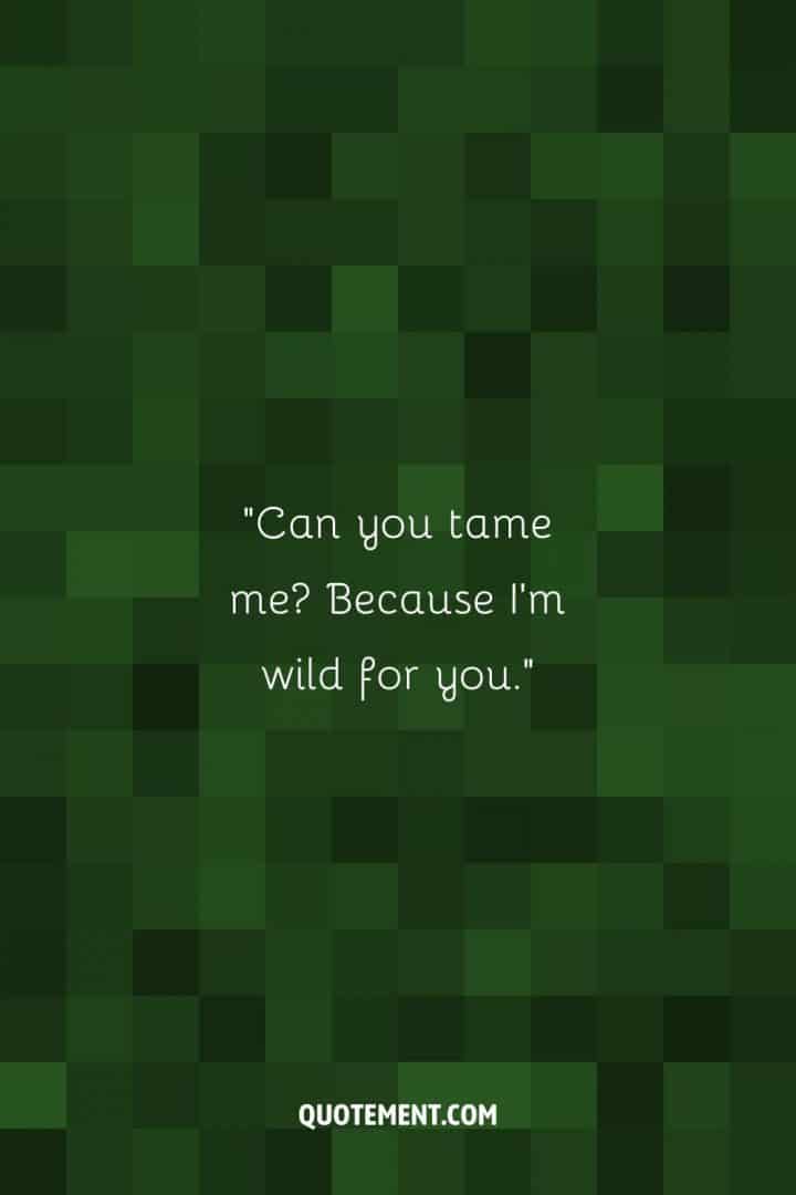 Mine Your Way to Love with 90 Minecraft Pick Up Lines