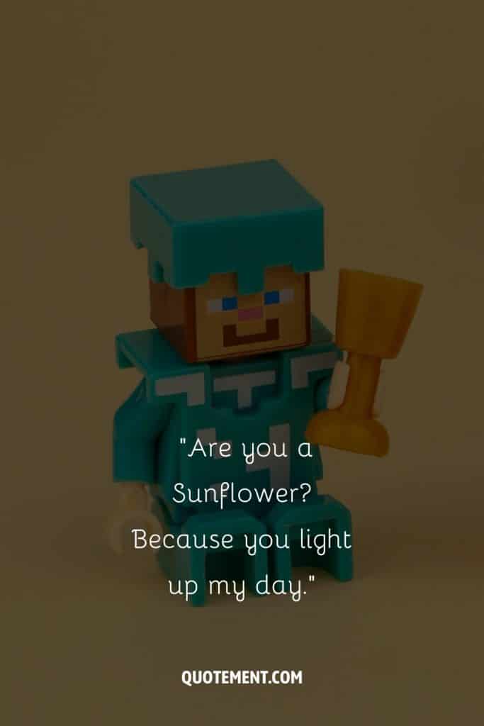 Mine Your Way to Love with 90 Minecraft Pick Up Lines