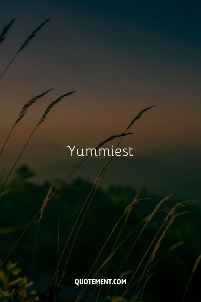 Ultimate List Of 240 Positive Words That Start With Y