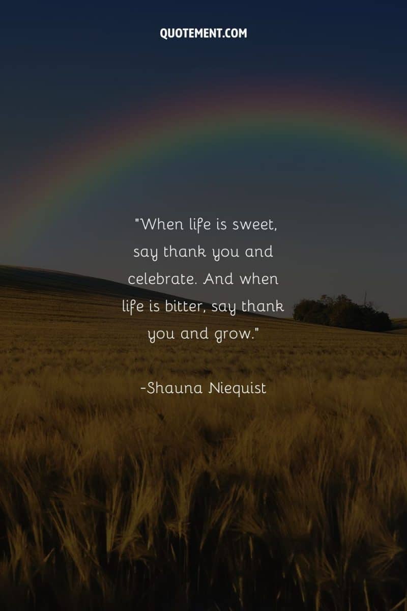 250 Cute Life Quotes To Add Sweetness To Your Day