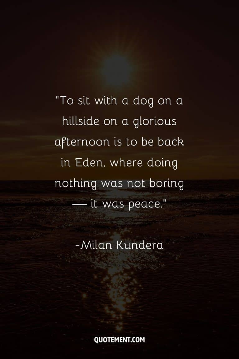 130 Inspiring Good Afternoon Quotes To Unwind And Revive