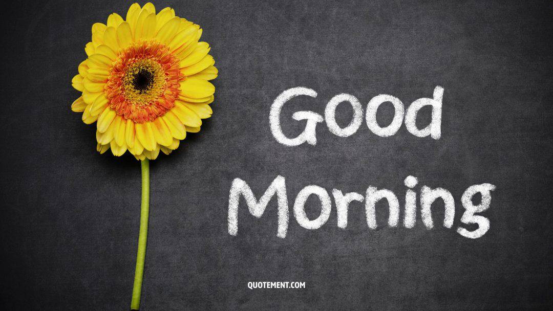 220 Empowering Good Morning Quotes To Embrace The Day