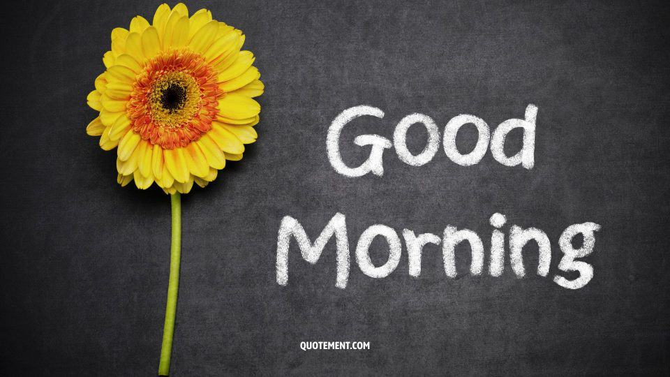 220 Empowering Good Morning Quotes To Embrace The Day