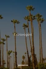 Empower Yourself With 300 Positive Words That Start With E