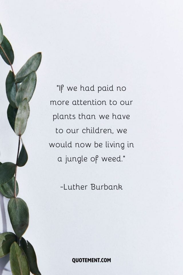 130 Inspiring Plant Quotes Celebrating The Beauty Of Flora