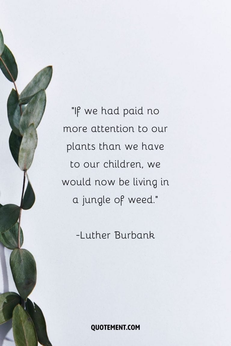 130 Inspiring Plant Quotes Celebrating The Beauty Of Flora