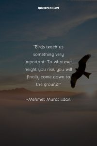 130 Inspiring Bird Quotes To Embrace The Wings Of Wisdom