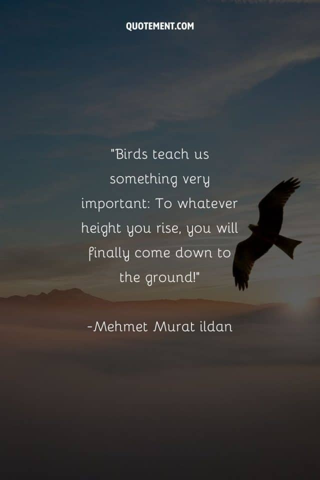 130 Inspiring Bird Quotes To Embrace The Wings Of Wisdom